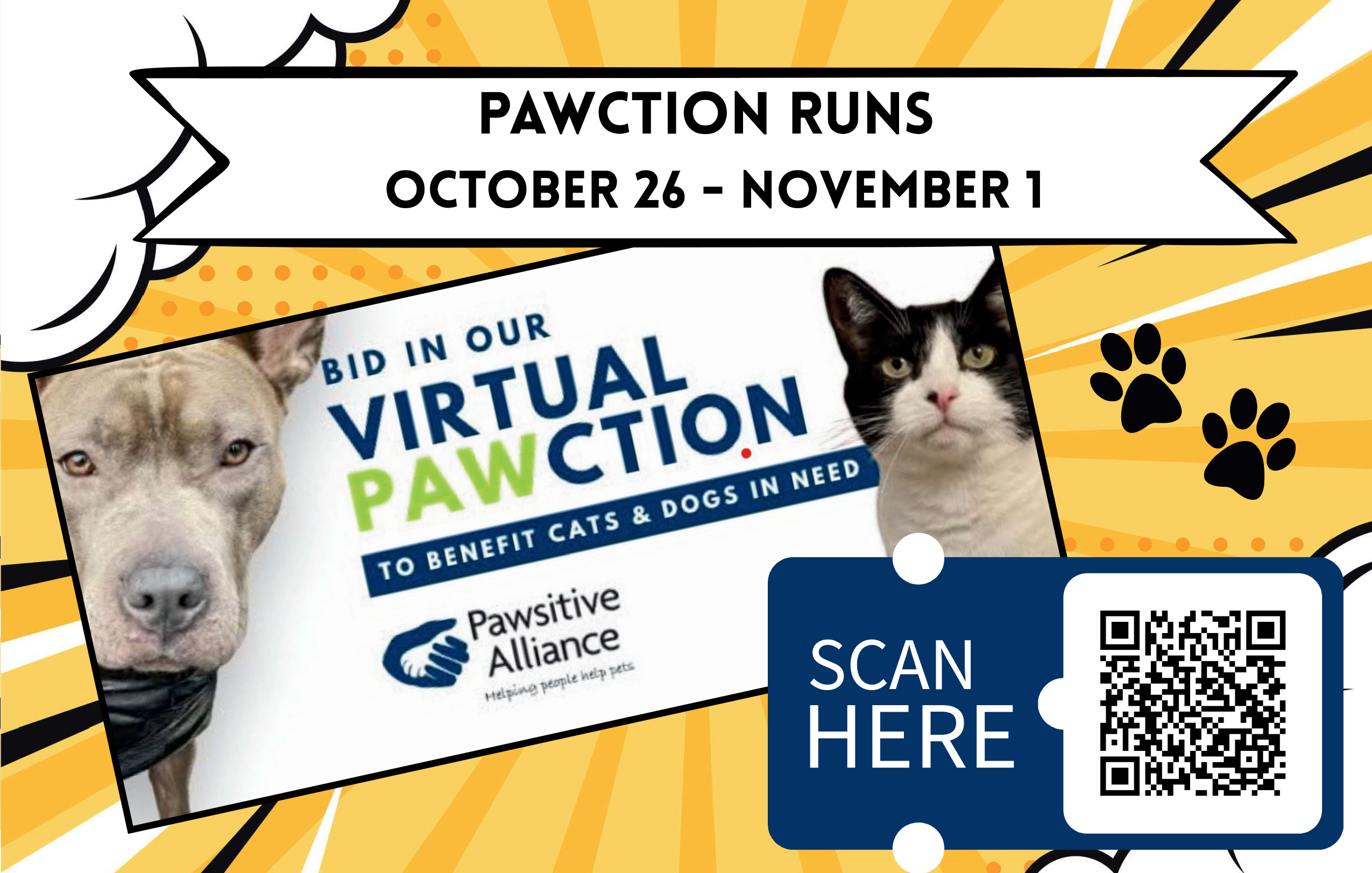 Pawsitive Alliance – Helping People Help Pets